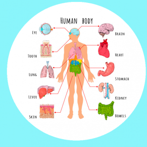 Monicor | Biofeedback and Bioresonance Diagnostic System for Health ...